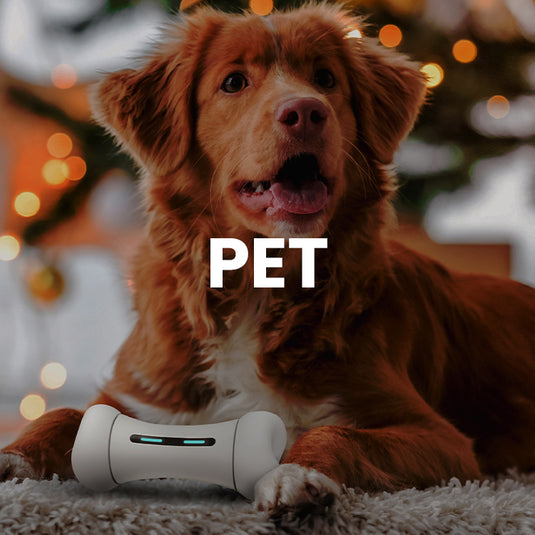 โปรโมชั่นสำหรับลูกค้า BTS – Rabbit Selection